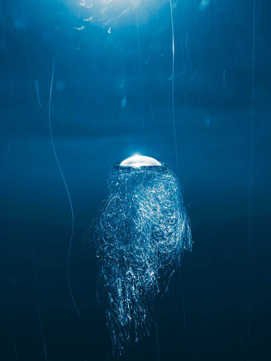 MEDUSA - IV – Ben Thouard